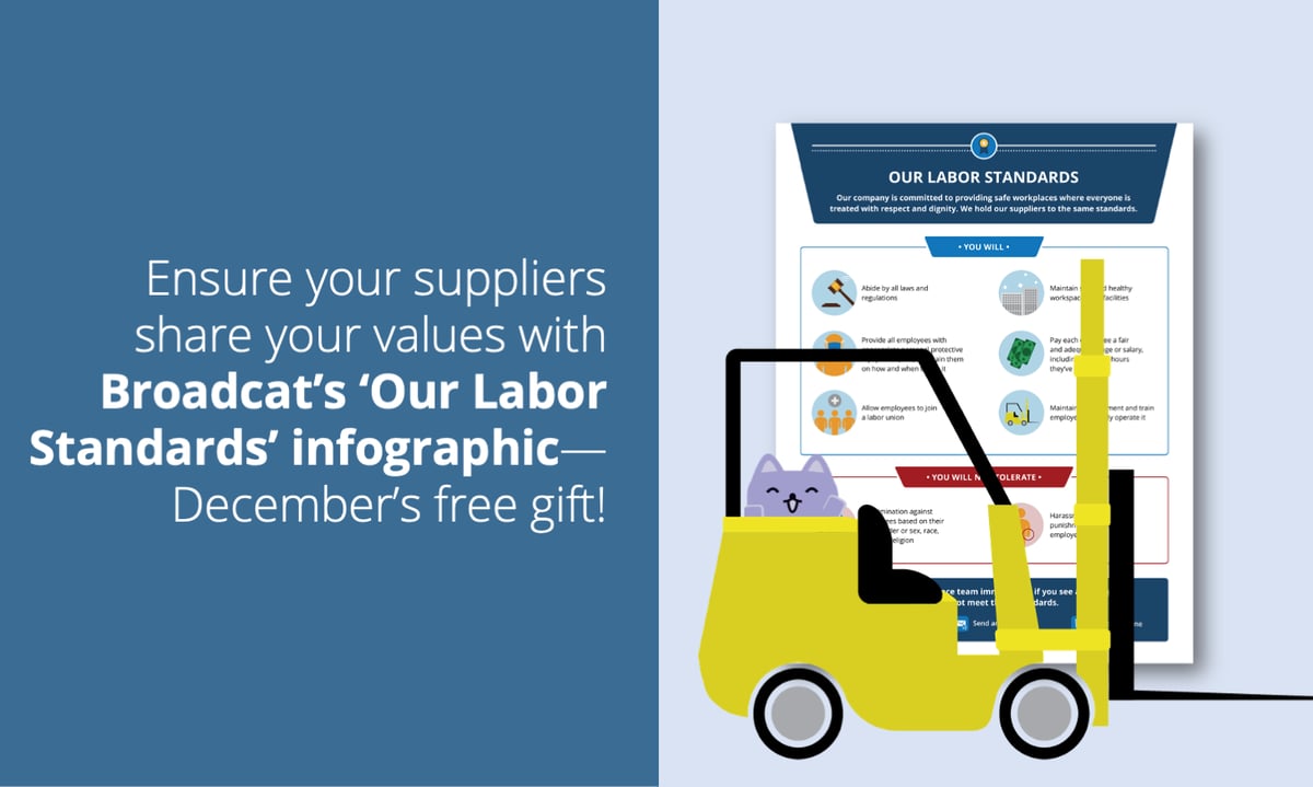 'Our Labor Standards' Infographic [December 2020 Gift]